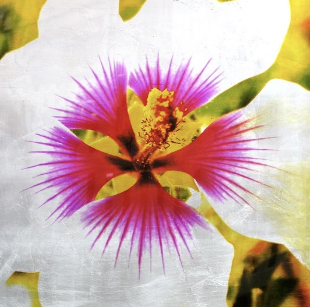 Allison Goode - Sawdust Art Festival